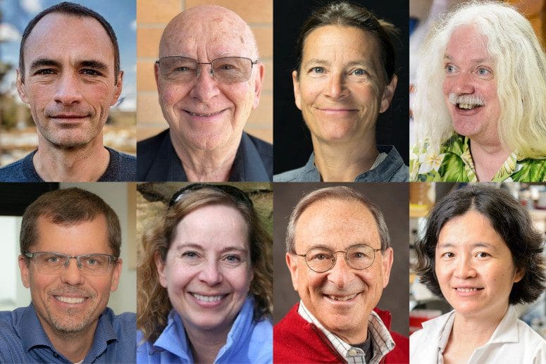 AAAS members make eight UW researchers new fellows - University ...