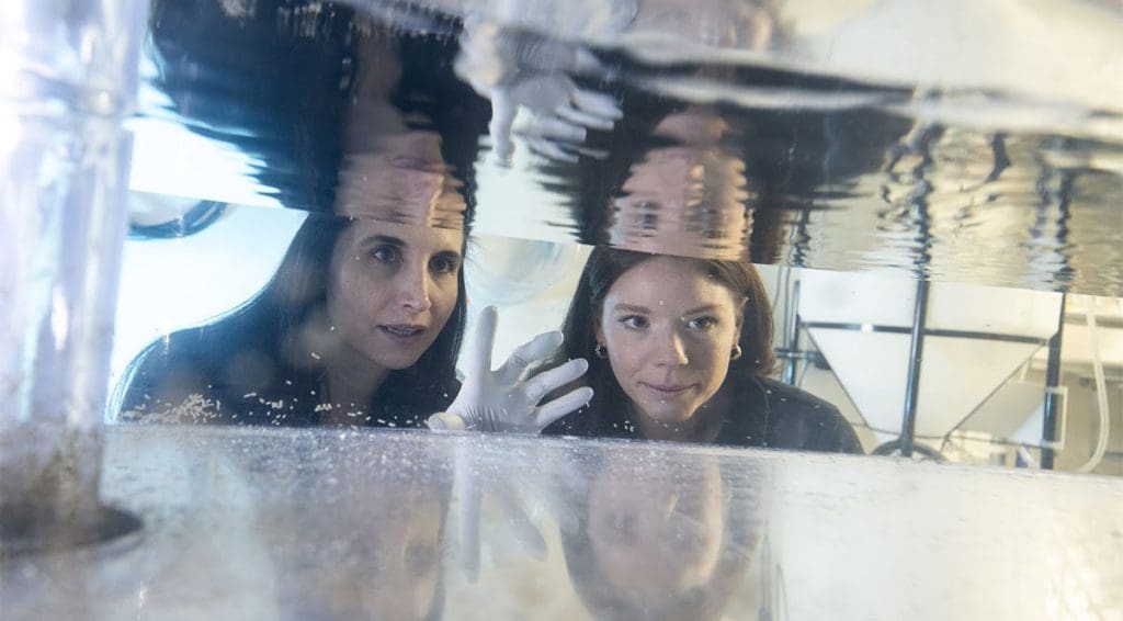 The infinite worm - University Research Park | Madison, WI